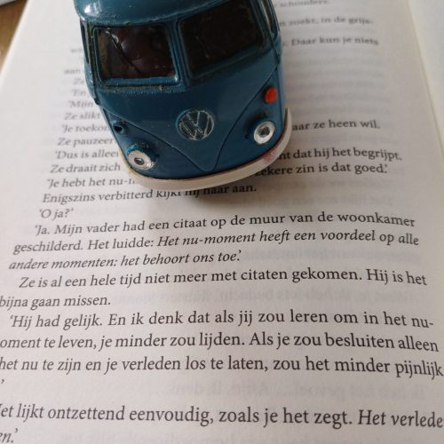 Al het blauw van de hemel - Da Costa | Roman | StoerLeesVoer