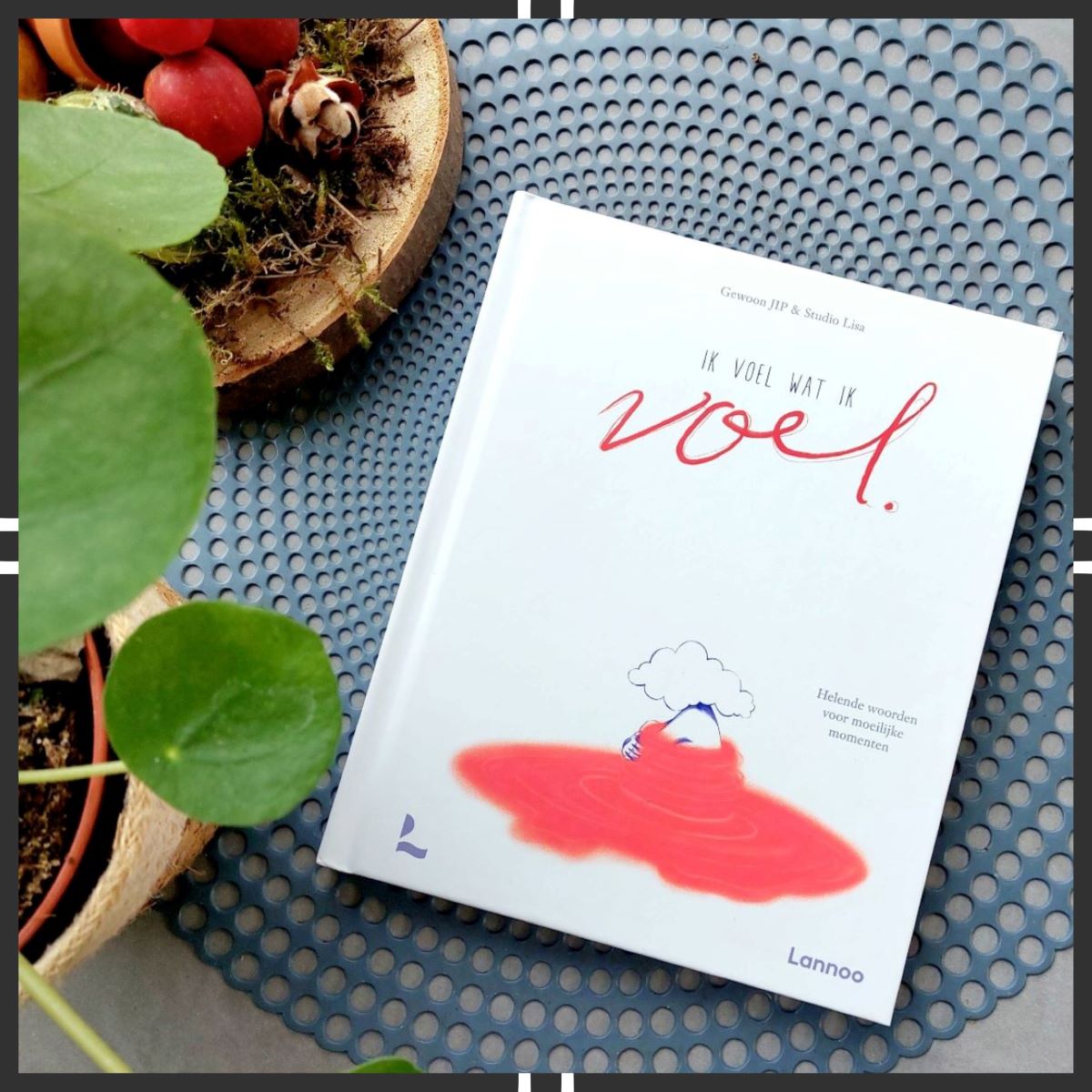 Ik voel wat ik voel - Gewoon Jip & Studio Lisa | StoerLeesVoer