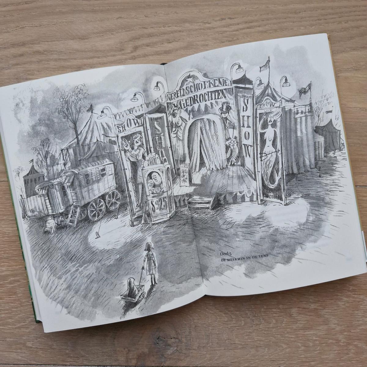 Lampje - Annet Schaap | Jeugdboek 10+ | StoerLeesVoer