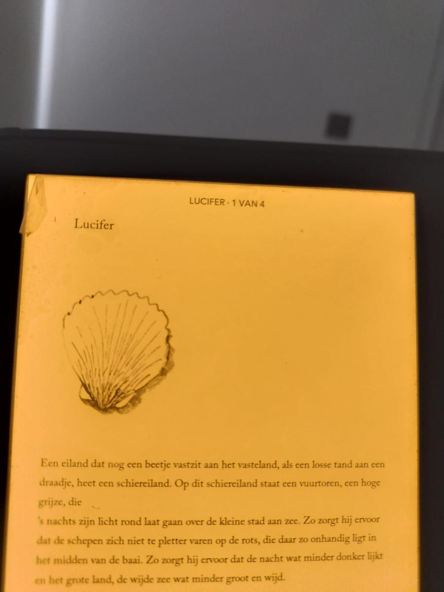 Lampje - Annet Schaap | Jeugdboek 10+ | StoerLeesVoer