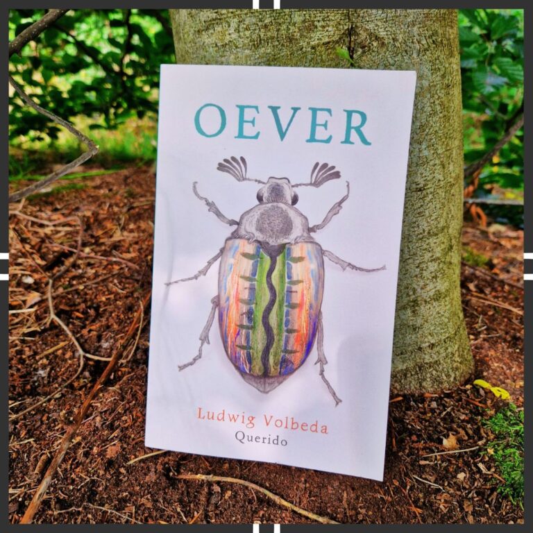 Oever - Ludwig Volbeda | Jeugdboek 12+ | StoerLeesVoer