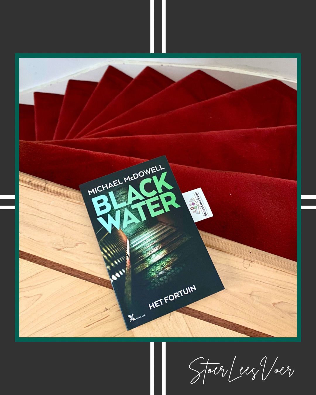 Het fortuin - McDowell | Blackwater 5 | Gothic | StoerLeesVoer