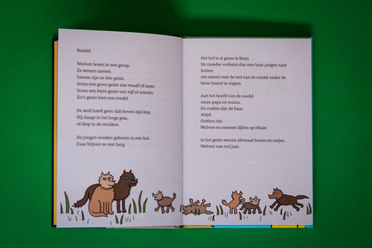 Dit boek is vóór de wolf - Bibi Dumon Tak | Weejes | StoerLeesVoer