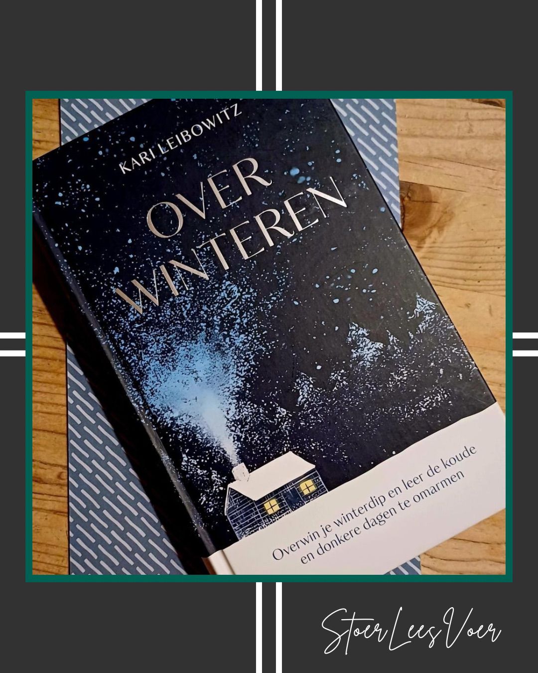 Over Winteren - Kari Leibowitz | Non-fictie Mindset | StoerLeesVoer