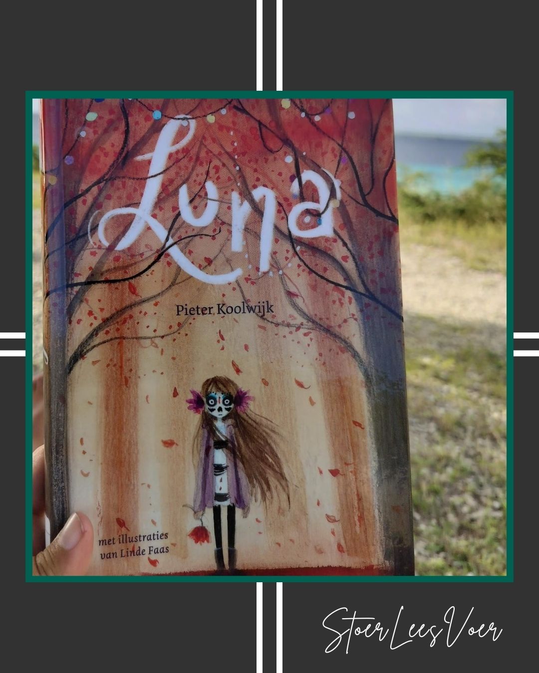 Luna - Pieter Koolwijk & Faas | Jeugdroman 10+ | StoerLeesVoer