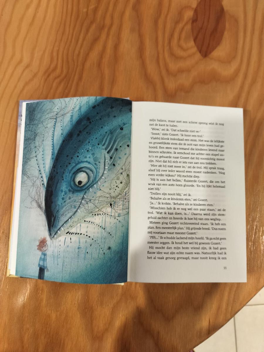 Gozert - Pieter Koolwijk | Jeugdroman 10+ | StoerLeesVoer