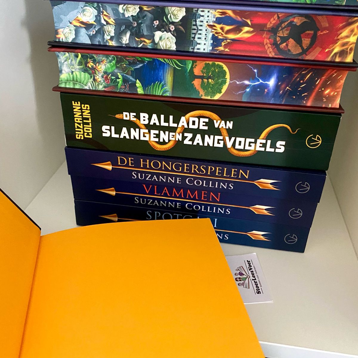 Dageraad boven de boete - Collins | Deel 5 | StoerLeesVoer