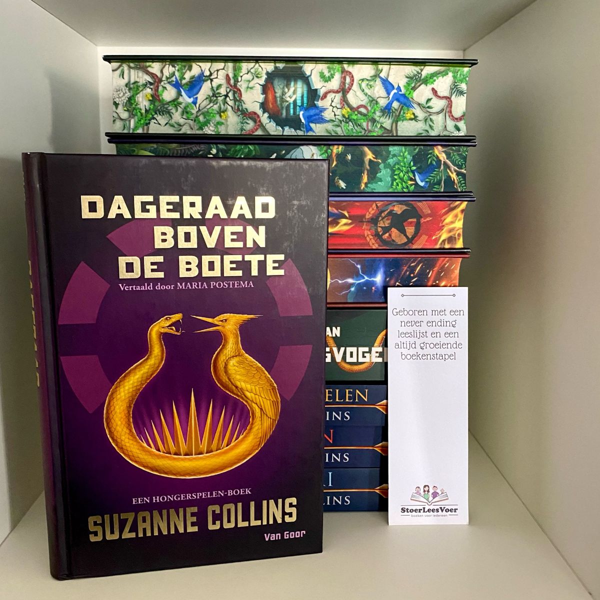 Dageraad boven de boete - Collins | Deel 5 | StoerLeesVoer