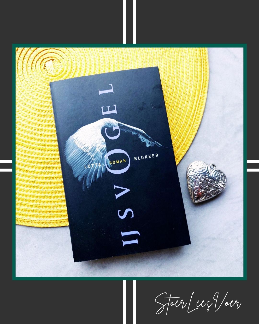 IJsvogel - Lotta Blokker | Debuutroman liefde rouw | StoerLeesVoer