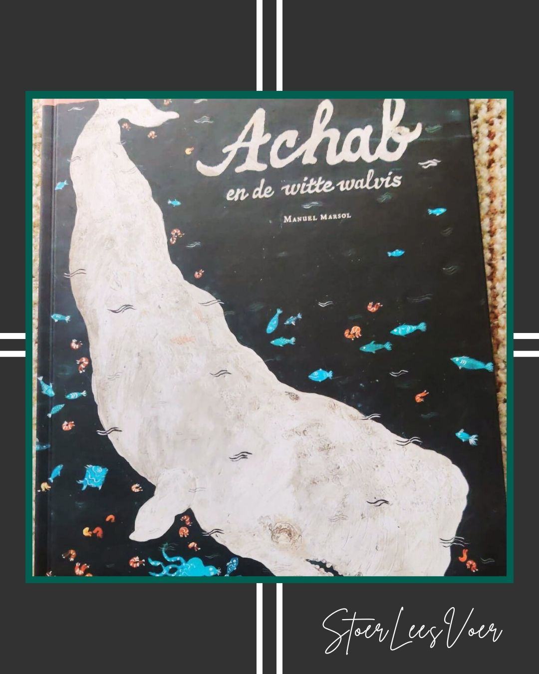 Achab en de witte walvis - Mansol | Prenten | StoerLeesVoer