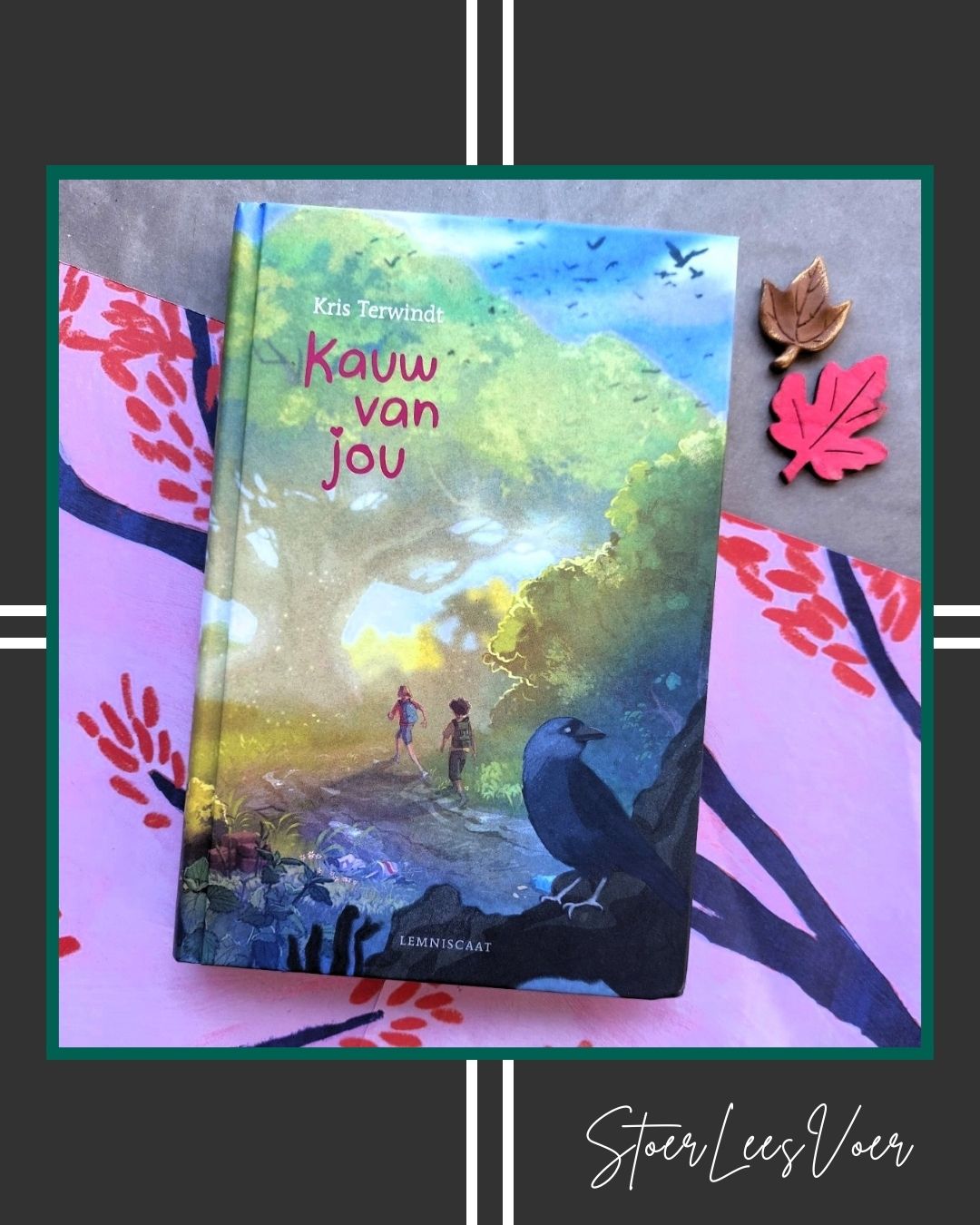 Kauw van jou - Terwindt | Jeugdroman 10+ Rouw | StoerLeesVoer