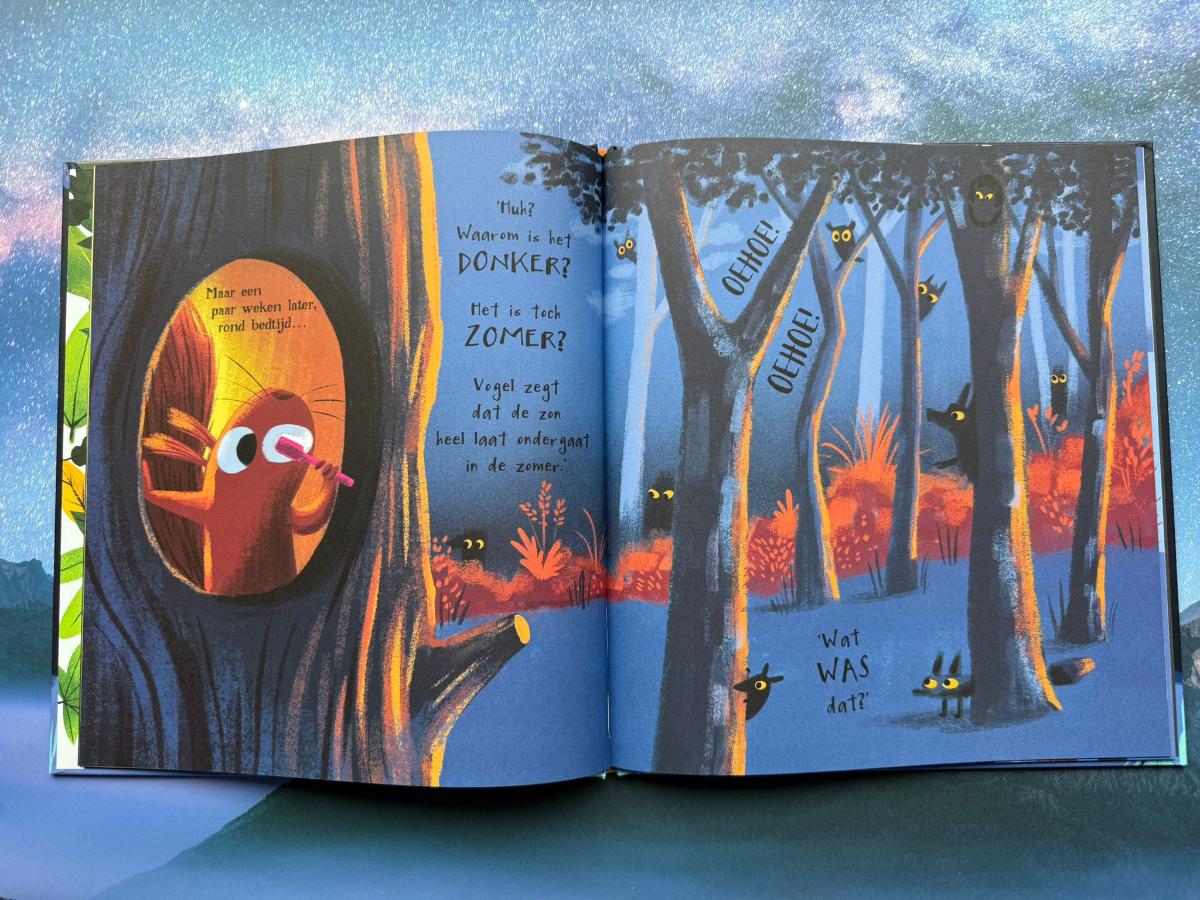 De zonnedief - Alice Hemming | Prentenboek seizoenen | StoerLeesVoer