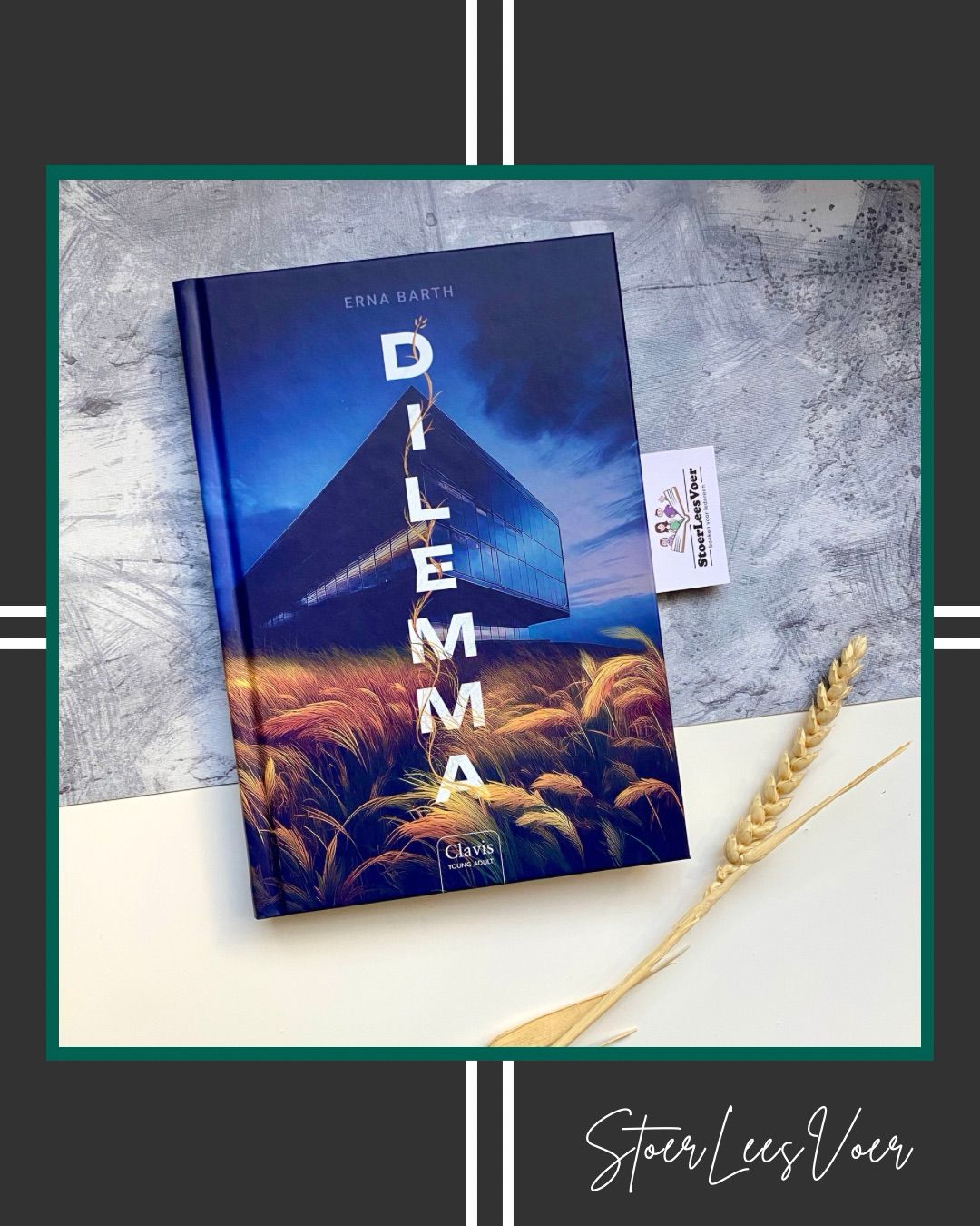 Dilemma - Erna Barth | YA Thriller Filosofie | StoerLeesVoer