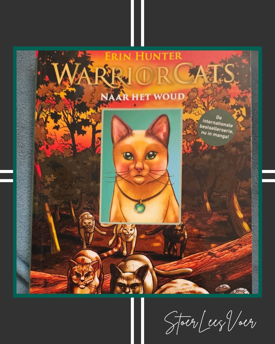 Naar het woud - Erin Hunter | Manga Trilogie Deel 1 | StoerLeesVoer