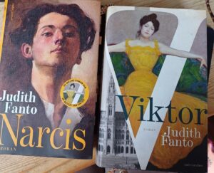 Narcis - Judith Fanto | Literaire Roman | StoerLeesVoer