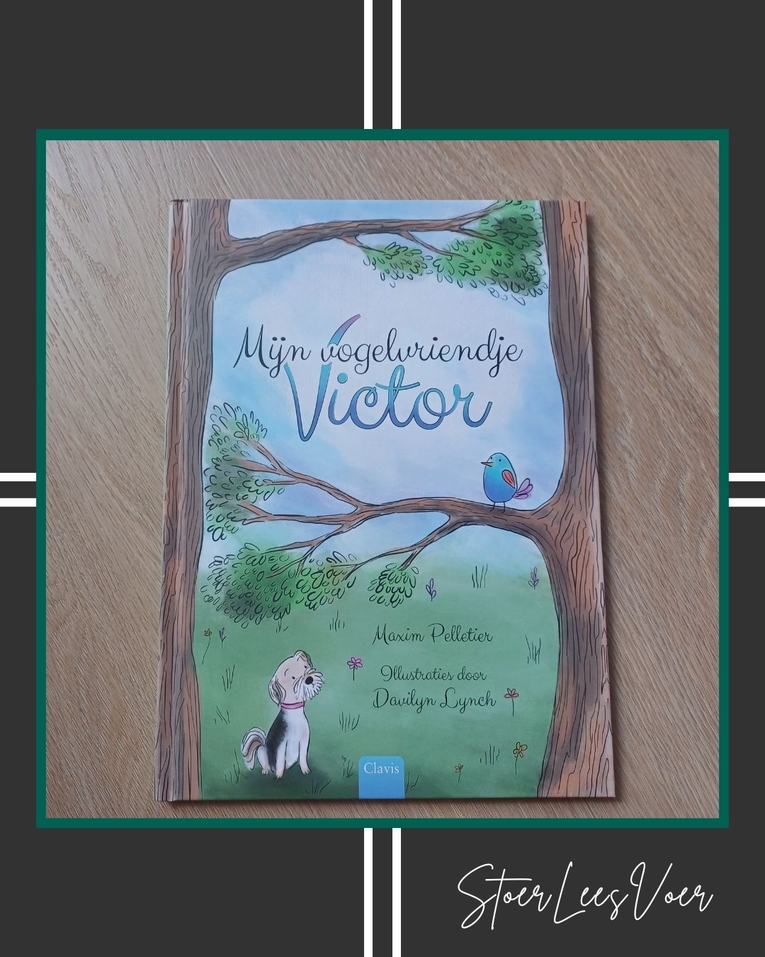 Mijn vogelvriendje Victor - Maxim Pelletier | Prenten zorgzaam ...