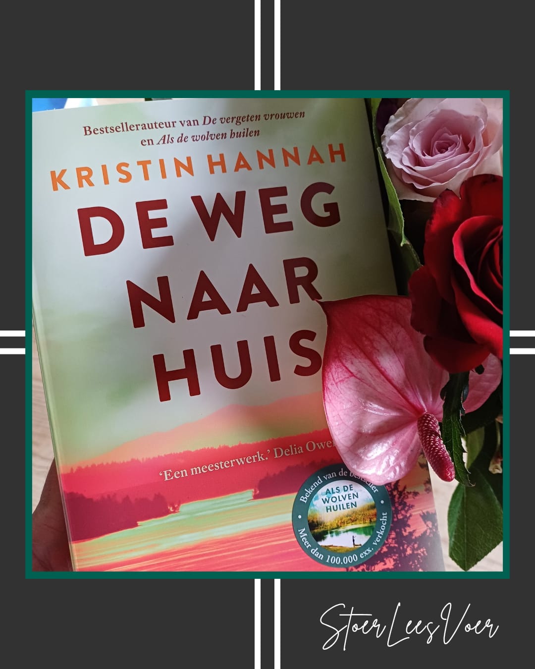 De weg naar huis - Kristin Hannah | roman | StoerLeesVoer