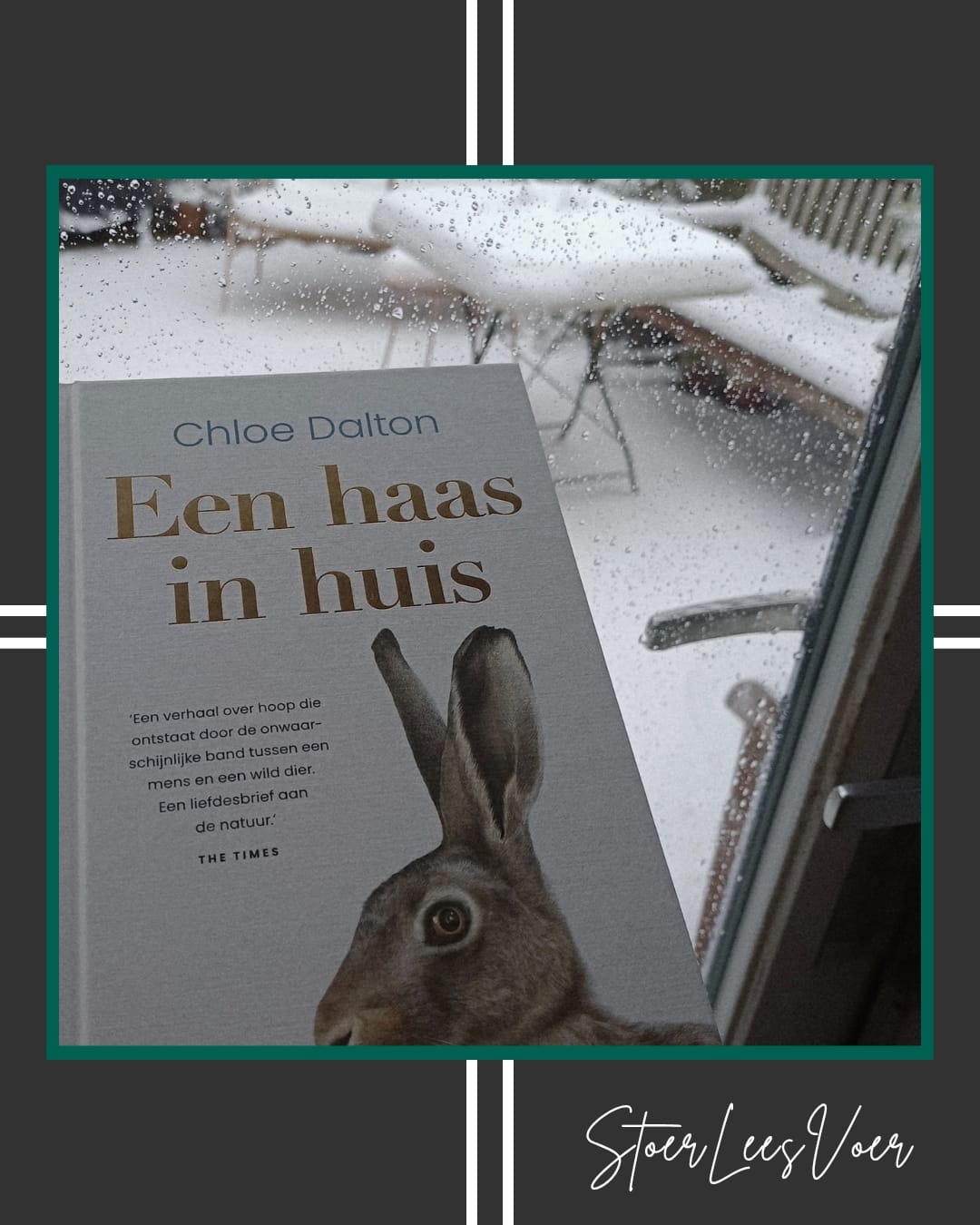 Een haas in huis een verhaal over hoop en troost