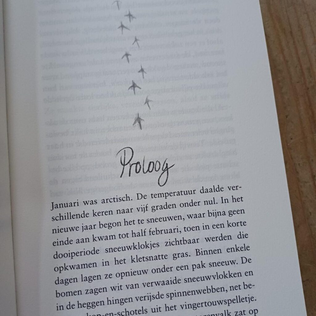 Een haas in huis een verhaal over hoop en troost