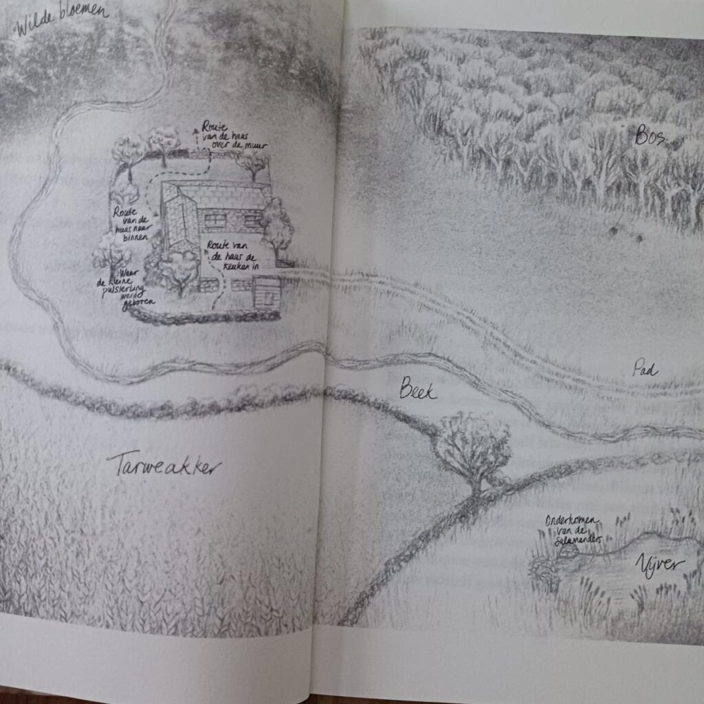 Een haas in huis een verhaal over hoop en troost